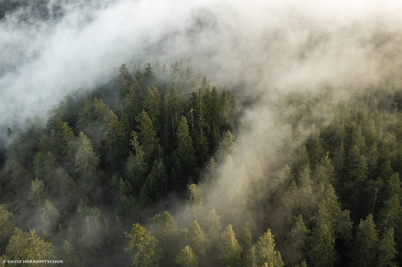 Cascadia Wildlands. We like it wild.